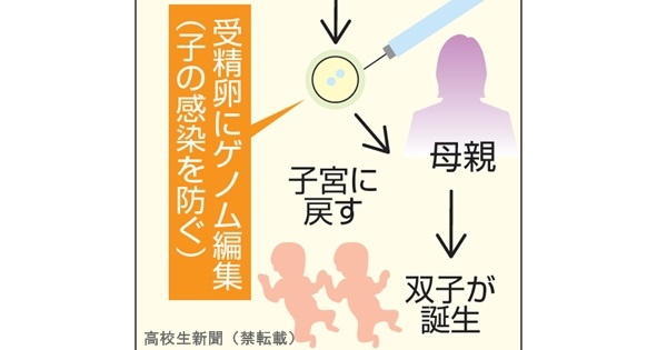 【ニュース早わかり】ゲノム編集で双子誕生 中国の研究者、世界で初｜高校生新聞オンライン｜高校生活と進路選択を応援するお役立ちメディア 